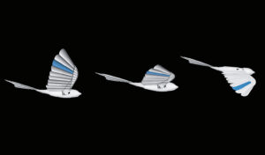 Festo’s SmartBird and BionicSwift – A Decade of Progress in Deciphering ...