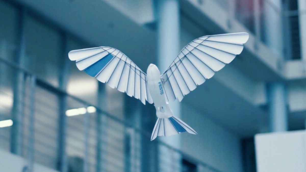 Festo’s SmartBird and BionicSwift – A Decade of Progress in Deciphering ...